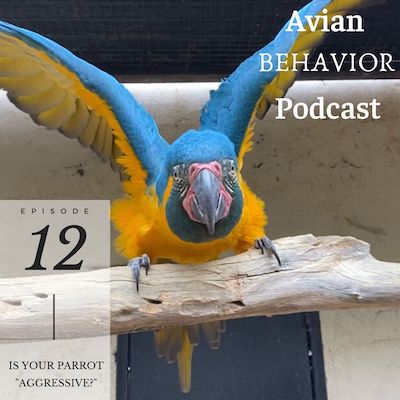 12 Is Your Parrot "Aggressive?" - Avian Behavior International