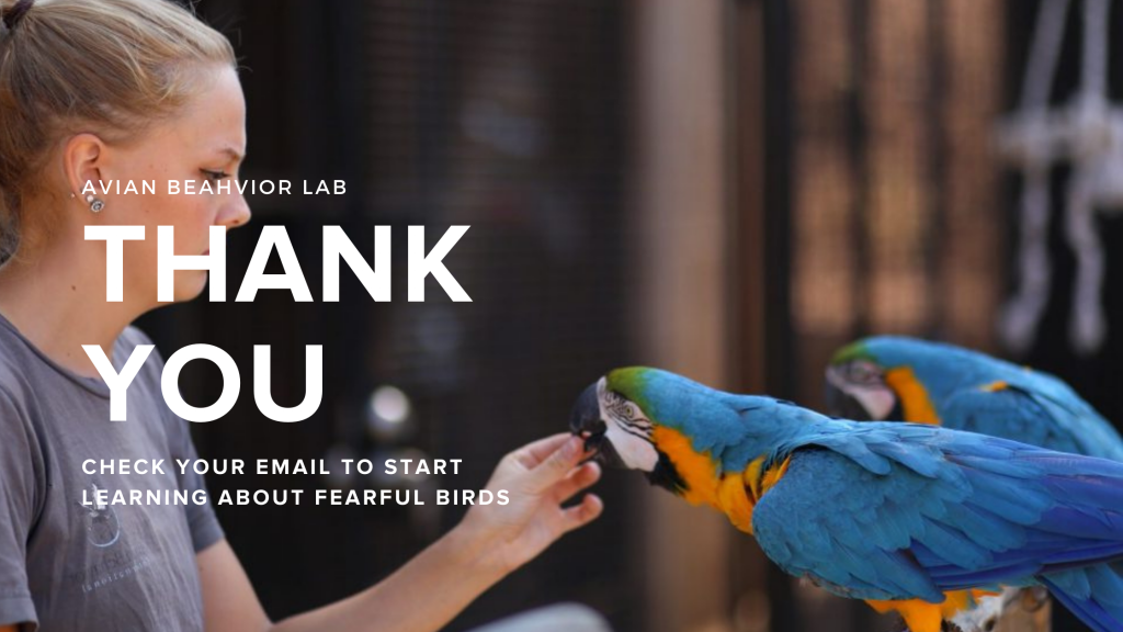 Lab Premium Members - Fearful Birds - Avian Behavior International