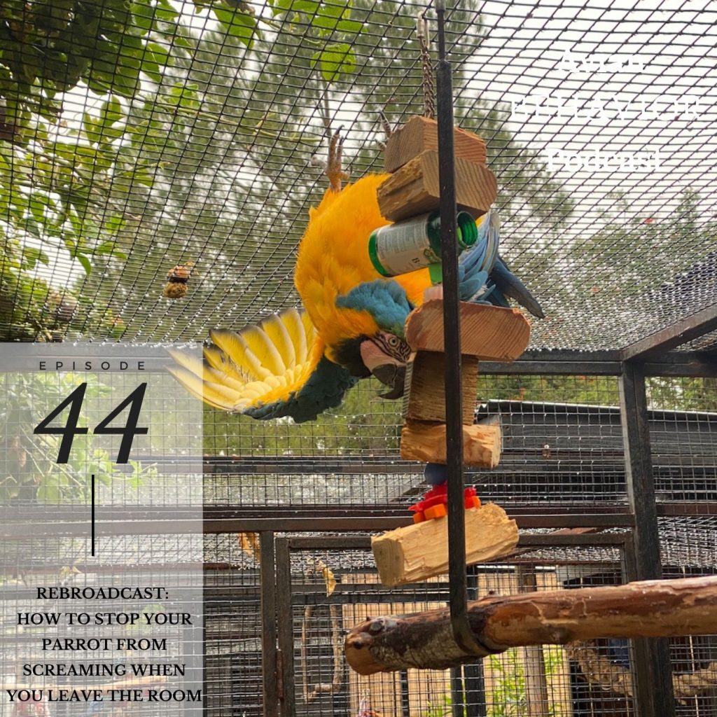 46 Dr. Scott Echols DVM DABVP and Dietary Supplements for Birds - Avian ...