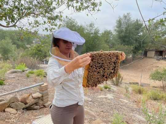 World Wildlife Day 2022 on the ABI Ranch - Avian Behavior International