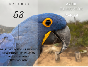 The Avian Behavior International Blog - Avian Behavior International