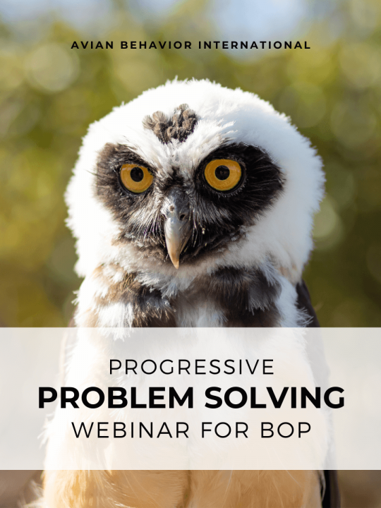 Online Memberships and Courses - Avian Behavior International