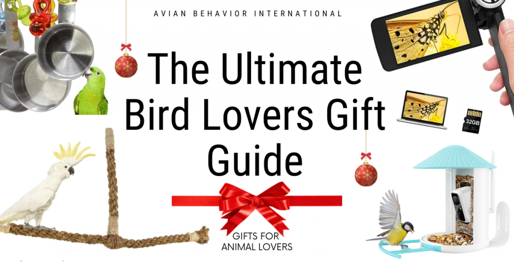 Blog - Avian Behavior International