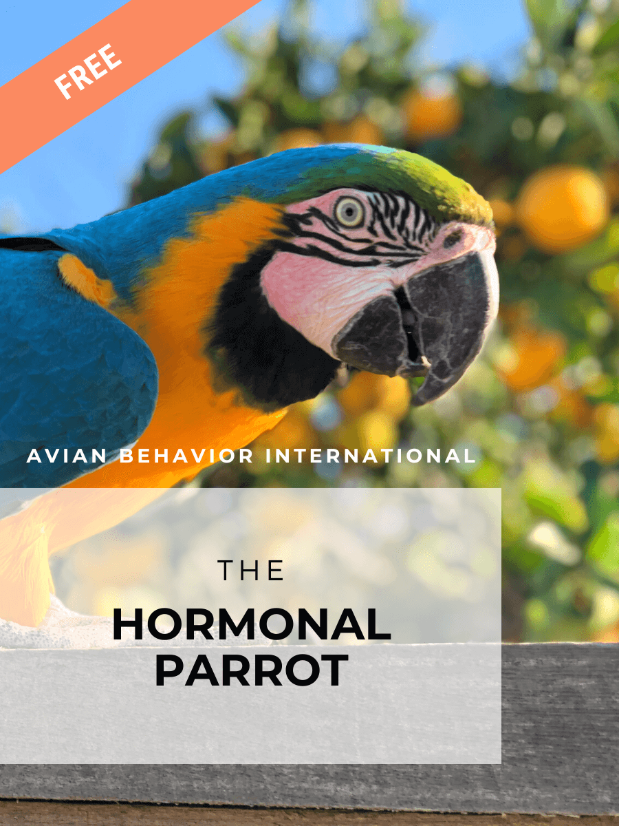 Online Memberships and Courses - Avian Behavior International