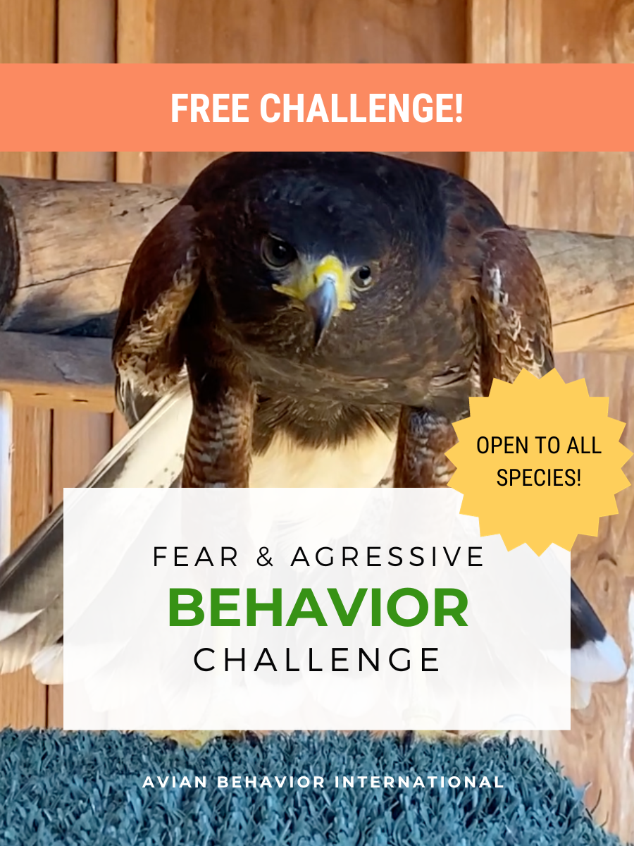 Online Memberships and Courses - Avian Behavior International