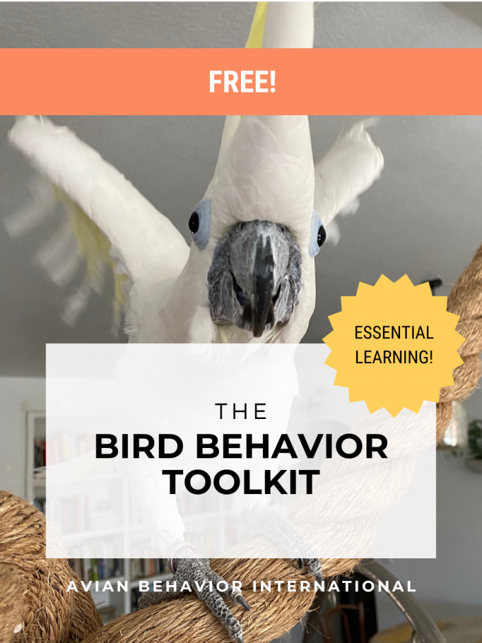 Online Memberships and Courses - Avian Behavior International