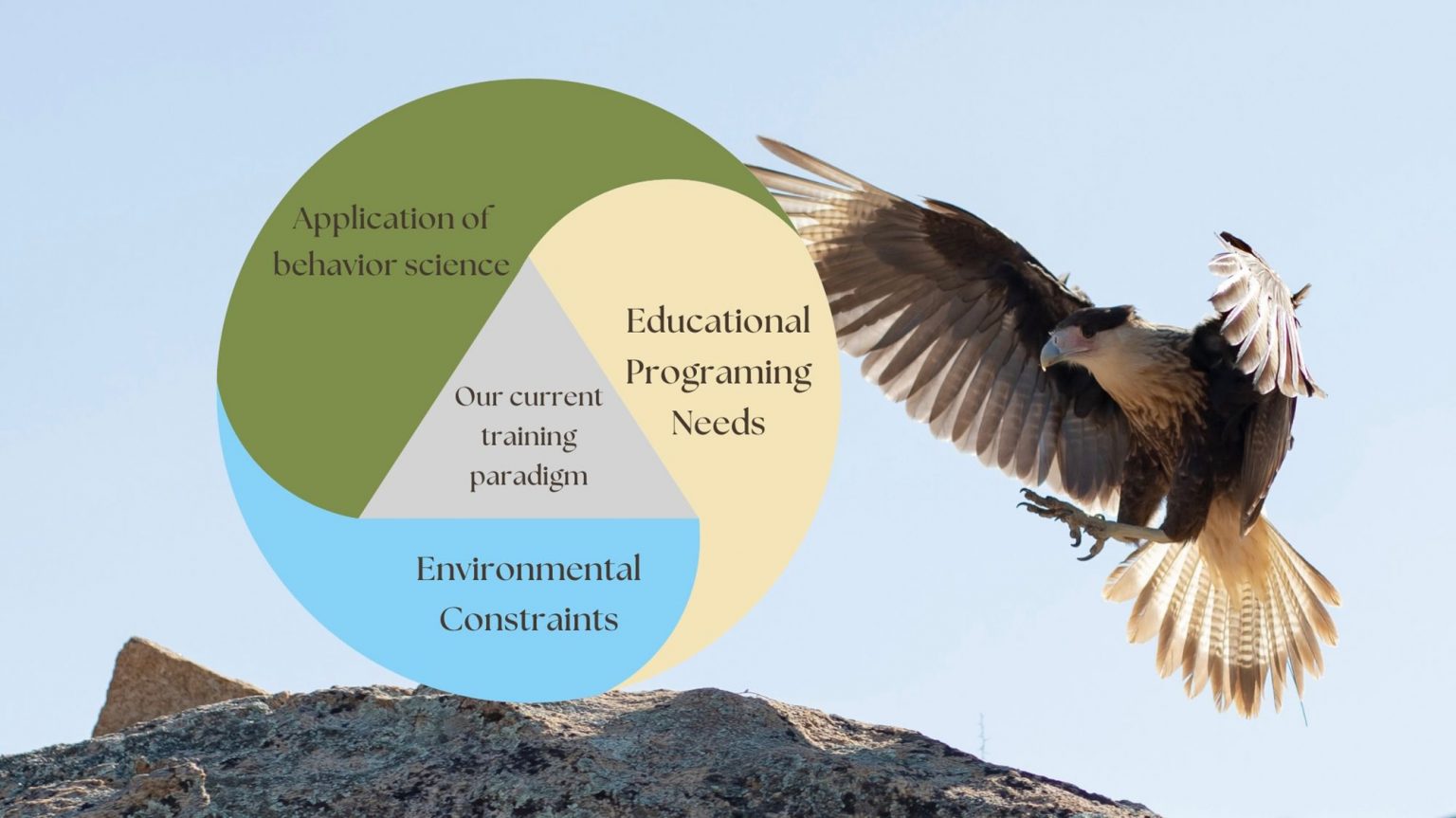 The Avian Behavior International Blog - Avian Behavior International