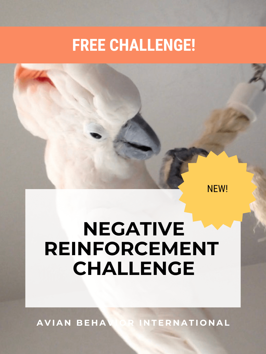 Online Memberships and Courses - Avian Behavior International