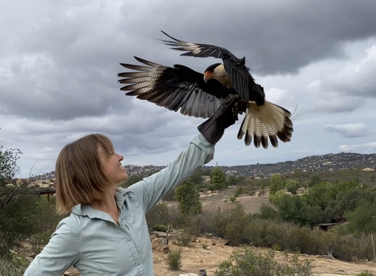 Avian Behavior: Insights from the Field - Avian Behavior International