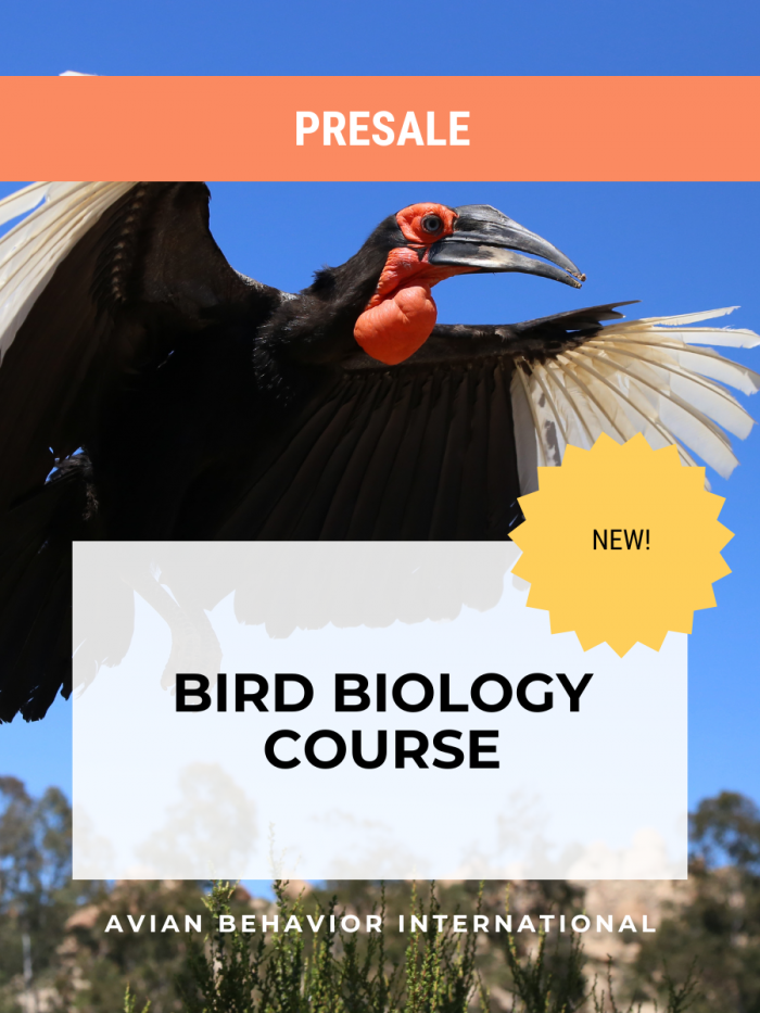 Online Memberships and Courses - Avian Behavior International