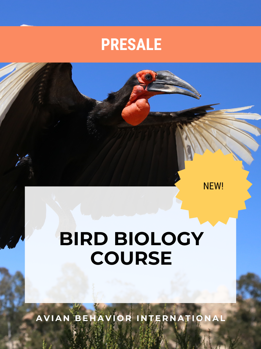 Online Memberships and Courses - Avian Behavior International