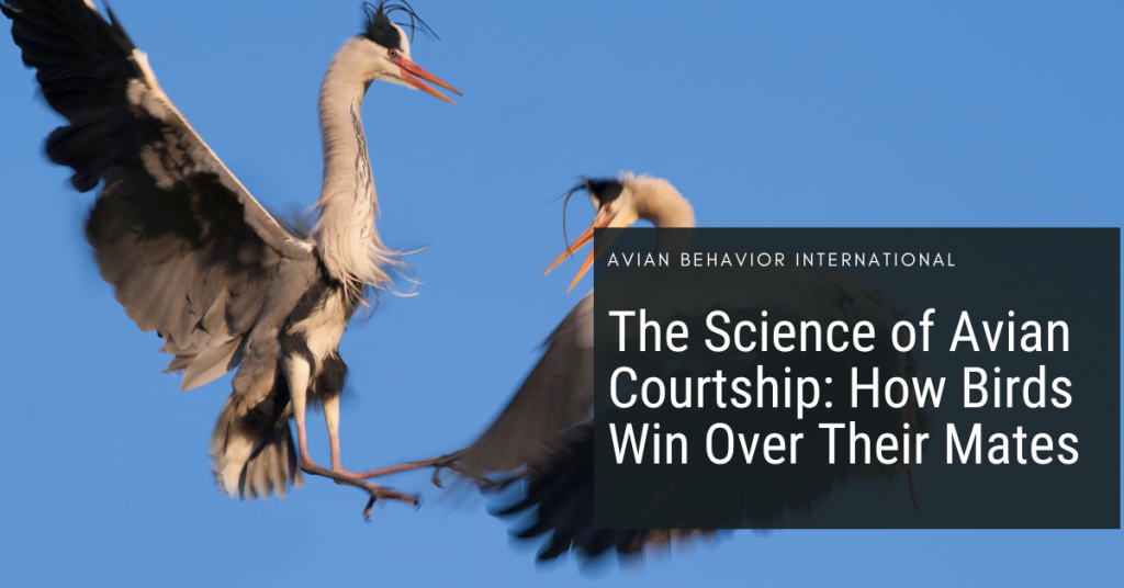 The Science of Avian Courtship: How Birds Win Over Their Mates - Avian ...