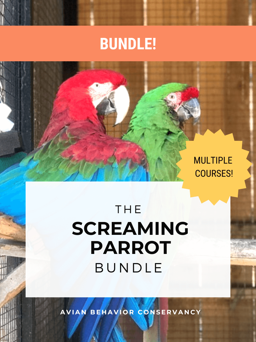 Online Memberships and Courses - Avian Behavior International